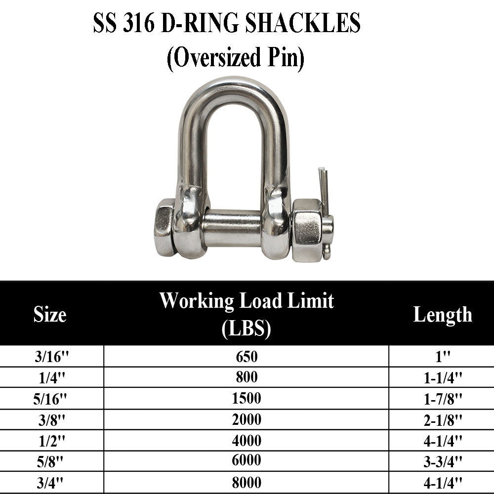 Stainless Steel 316 Bolt Pin Chain D-RING SHACKLES 3/16" to 3/4" Overs